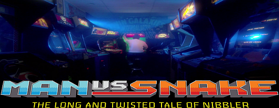 Review: Man Vs Snake | AUSRETROGAMER