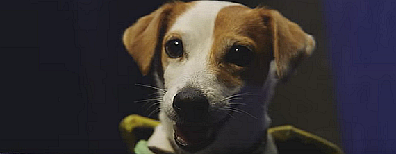 Pac-Dog: The Canine Pac-Man | AUSRETROGAMER